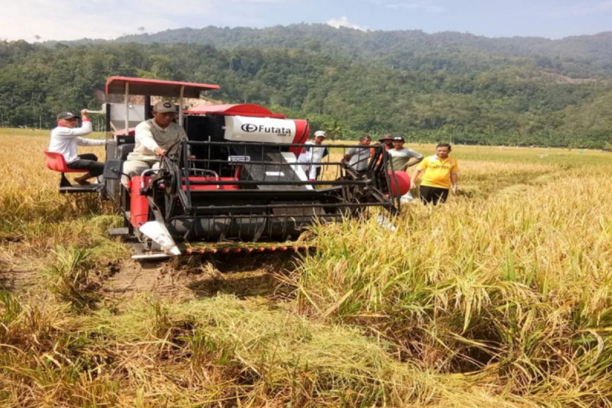 Bisnis Penyewaan Alat Panen Padi untuk Petani - Lasixd.com