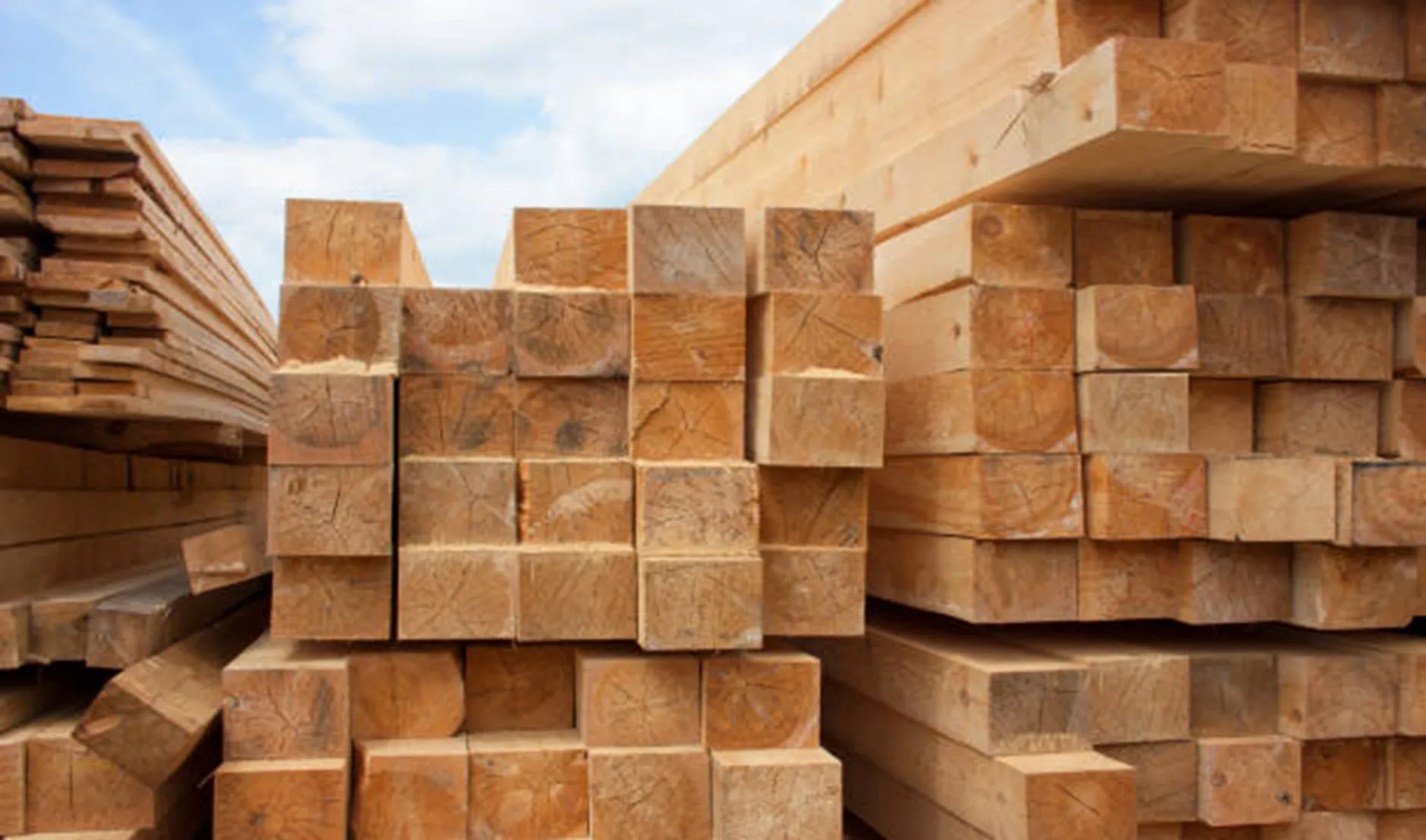 Mesin Perata Kayu Solusi Penting untuk Hasil Produksi Presisi - Lasixd.com
